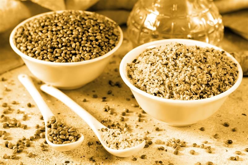 Alterseed : le chanvre fermenté, une innovation pour l’agroalimentaire ...